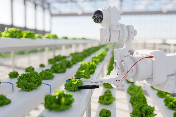 IoT untuk Smart Farming: Memantau Tanaman dan Kualitas Tanah - Indobot ...